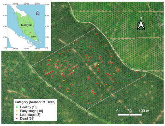 Early Detection of Basal Stem Rot Disease in Oil Palm Tree Using ...