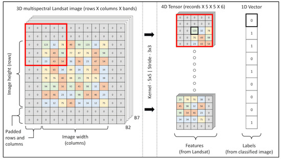 A Comparative Study of Convolutional Neural Networks and Conventional Machine Learning Models ...