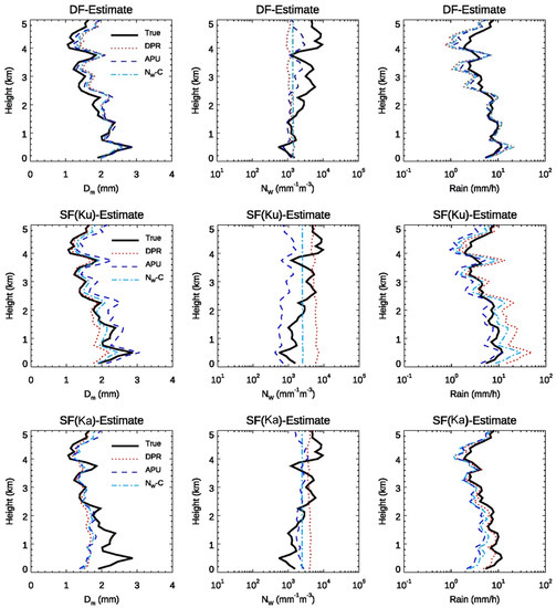 GPM DPR Retrievals: Algorithm, Evaluation, and Validation