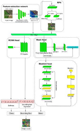 Multi-Species Individual Tree Segmentation and Identification Based on ...