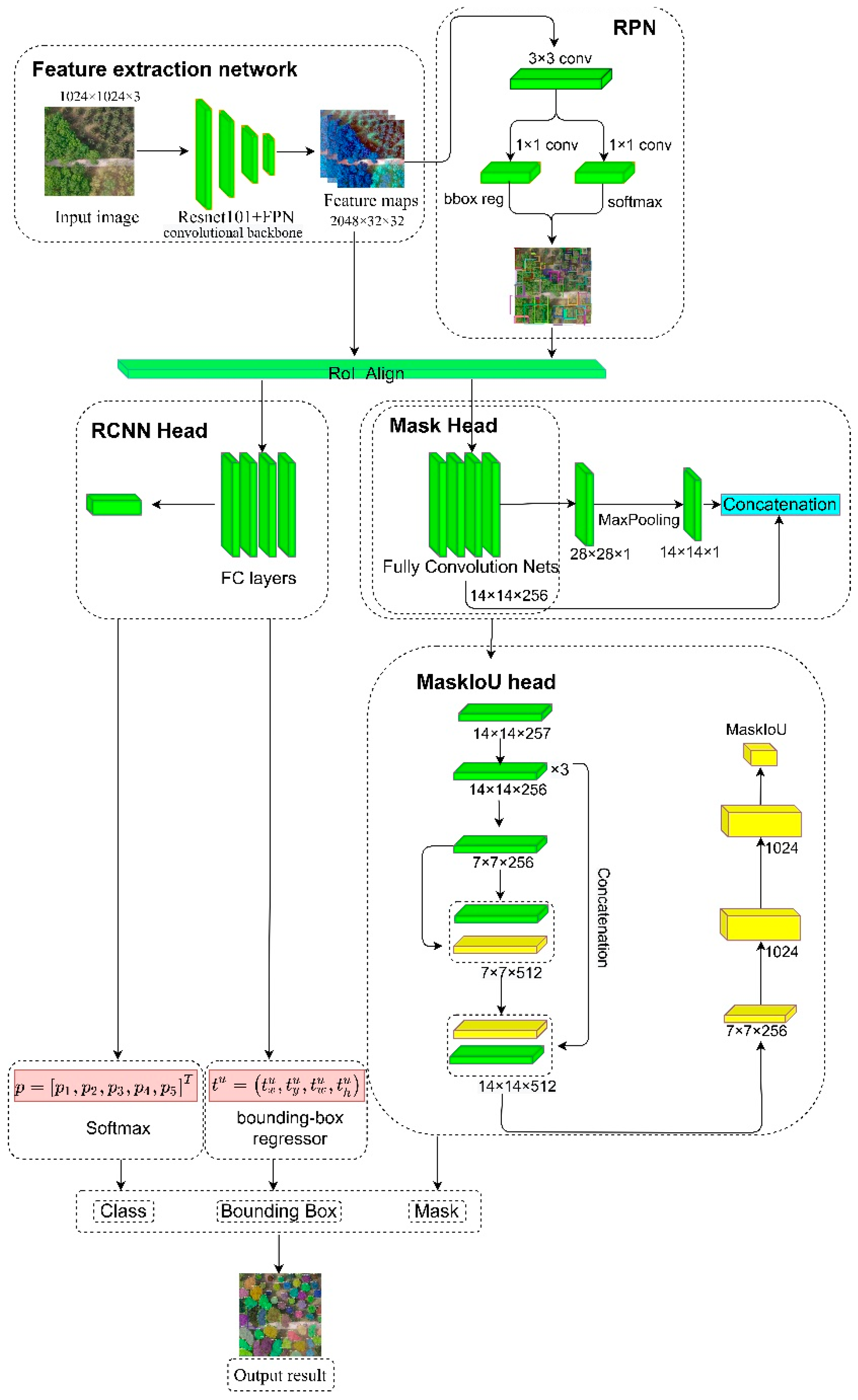 Multi-Species Individual Tree Segmentation and Identification Based on ...