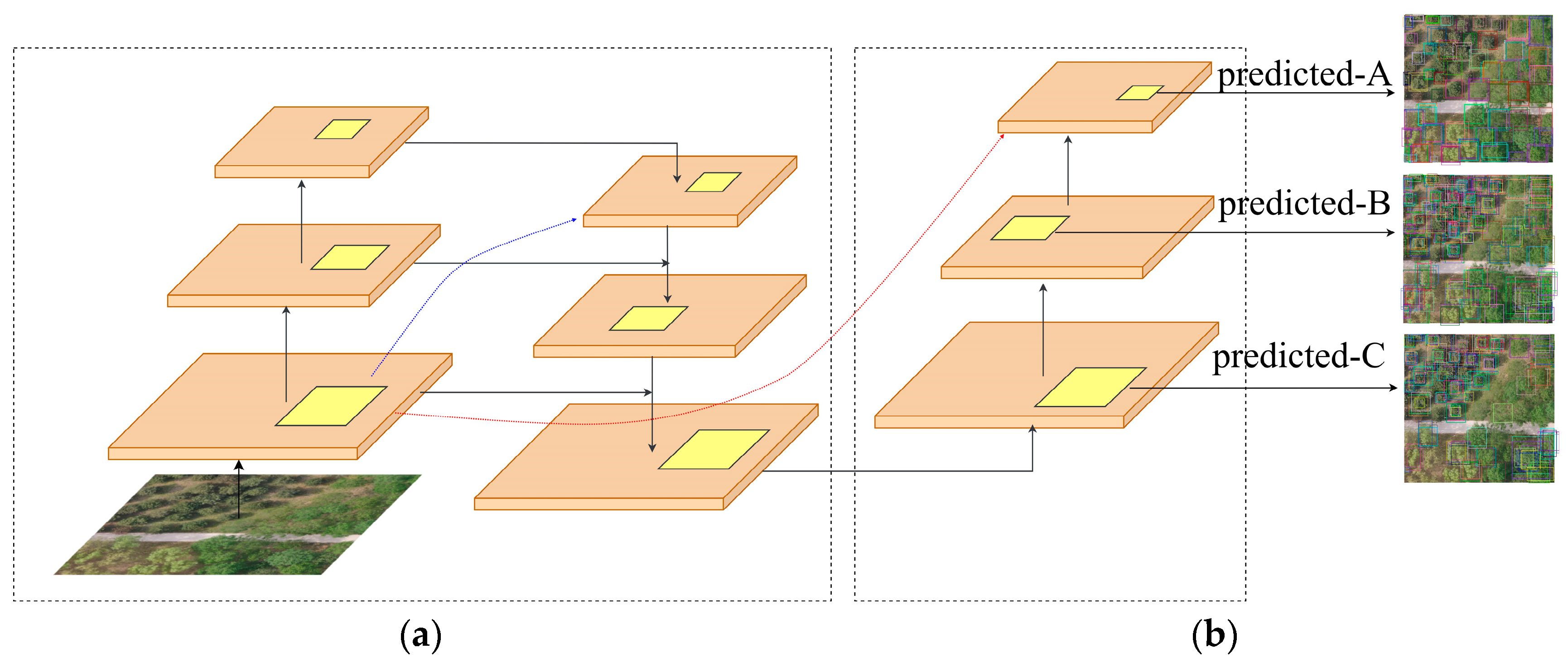 Multi-Species Individual Tree Segmentation and Identification Based on ...