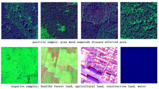Accurate Identification of Pine Wood Nematode Disease with a Deep ...