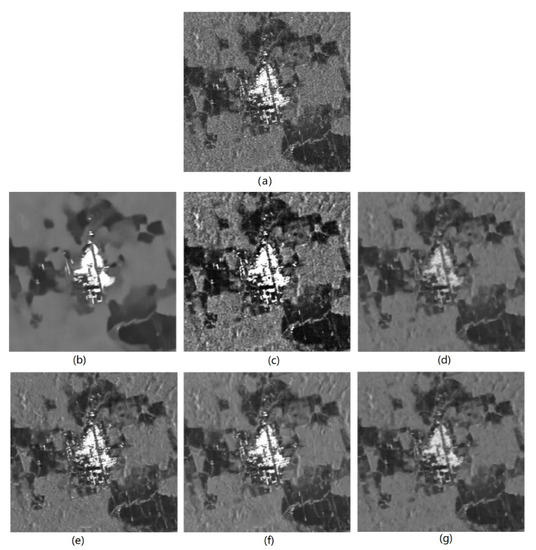 Remote Sensing | Free Full-Text | SAR Image Despeckling Based on Block-Matching and Noise ...
