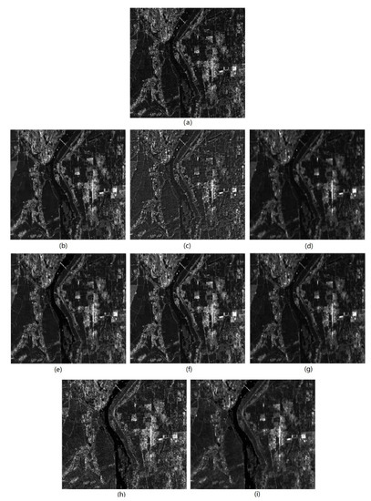 Remote Sensing | Free Full-Text | SAR Image Despeckling Based on Block-Matching and Noise ...