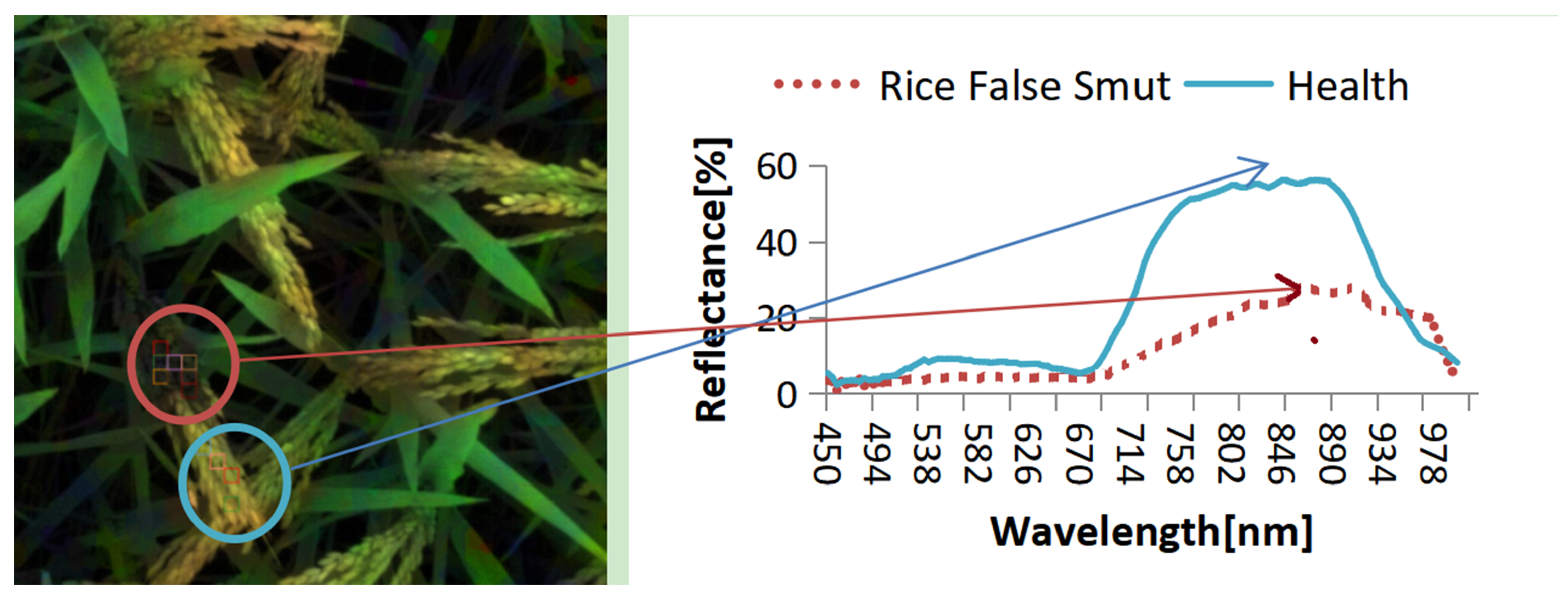 Rice False Smut Detection and Prescription Map Generation in a Complex ...
