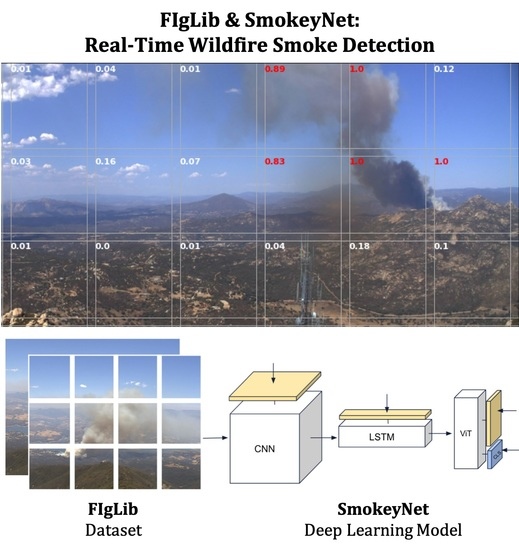 Remote Sensing | Free Full-Text | FIgLib & SmokeyNet: Dataset and Deep ...