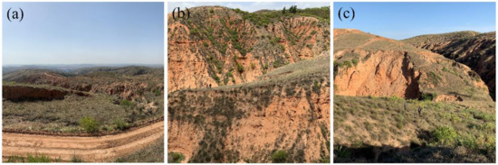 Automated Extraction of Ground Fissures Due to Coal Mining Subsidence ...