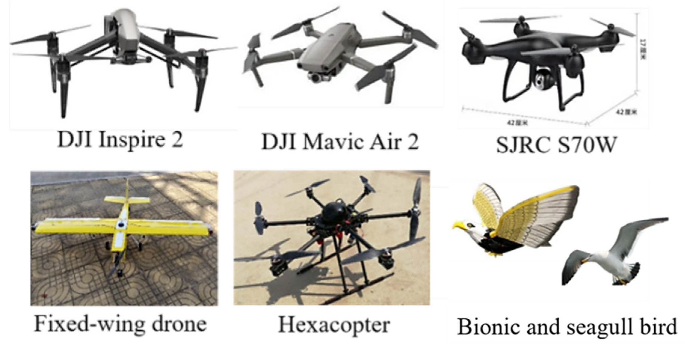 Micro-Motion Classification of Flying Bird and Rotor Drones via Data ...
