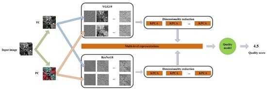 Remote Sensing | Free Full-Text | No-Reference Quality Assessment of ...