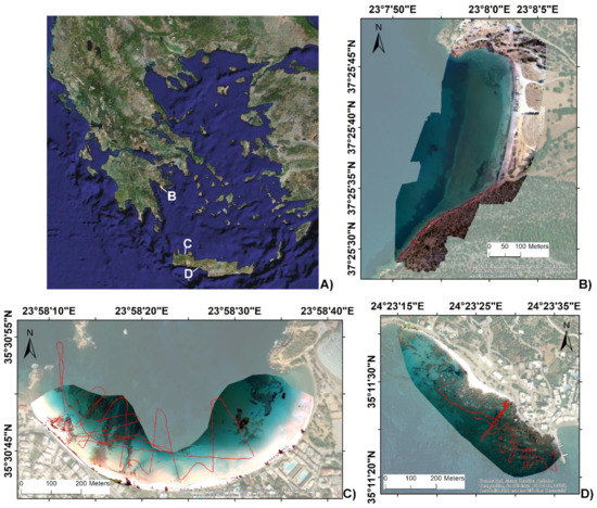 Fusion of Drone-Based RGB and Multi-Spectral Imagery for Shallow Water ...