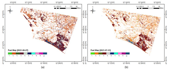 An Automatic Procedure for Forest Fire Fuel Mapping Using Hyperspectral ...