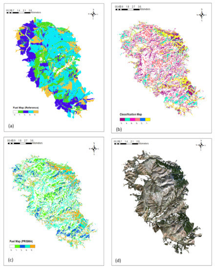 An Automatic Procedure for Forest Fire Fuel Mapping Using Hyperspectral ...
