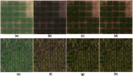 Deep-Learning-Based Multispectral Image Reconstruction from Single ...