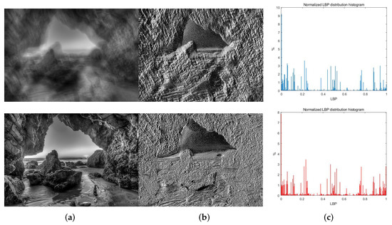 Blind Remote Sensing Image Deblurring Using Local Binary Pattern Prior
