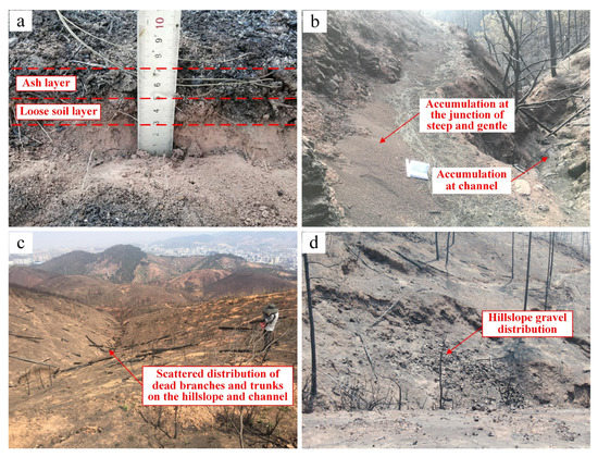 Susceptibility Prediction of Post-Fire Debris Flows in Xichang, China ...