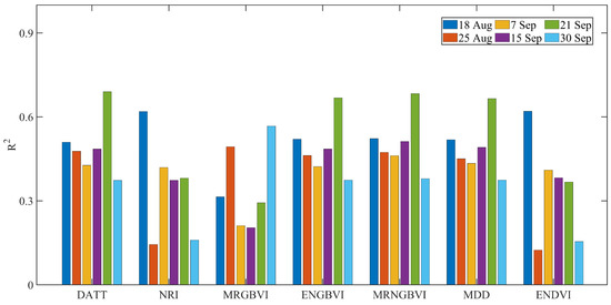 Machine Learning-Based Approaches for Predicting SPAD Values of Maize Using Multi-Spectral Images