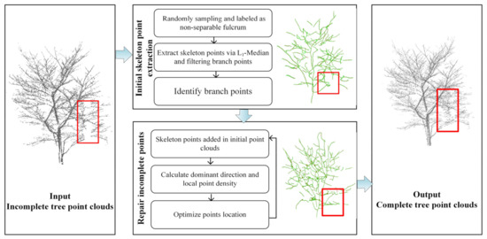 Restoration of Individual Tree Missing Point Cloud Based on Local ...