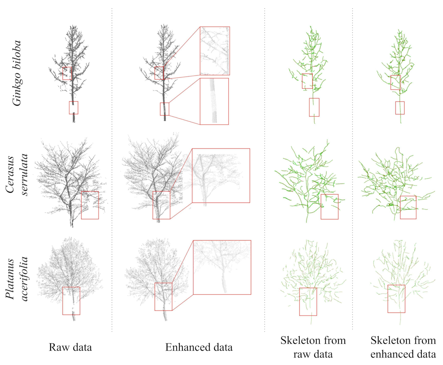 Restoration of Individual Tree Missing Point Cloud Based on Local ...