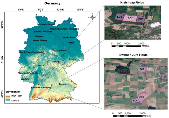 Combining Crop Modeling With Remote Sensing Data Using A Particle Filtering Technique To Produce
