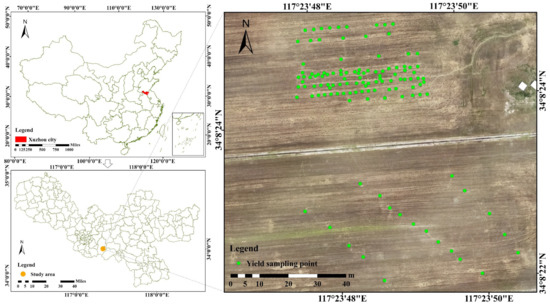 Remote Sensing | Free Full-Text | Prediction of Field-Scale Wheat Yield Using Machine Learning ...