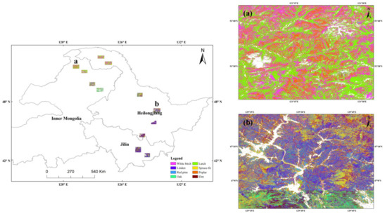 Combining Sample Plot Stratification and Machine Learning Algorithms to Improve Forest ...