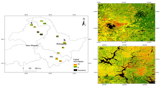 Combining Sample Plot Stratification and Machine Learning Algorithms to Improve Forest ...