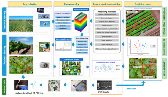 Plant Viral Disease Detection: From Molecular Diagnosis to Optical ...