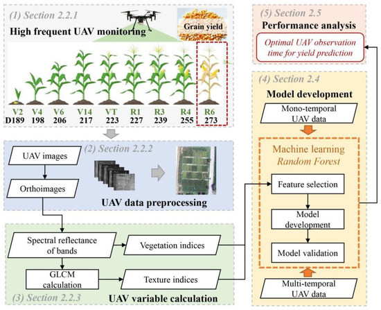 The Optimal Phenological Phase of Maize for Yield Prediction with High ...