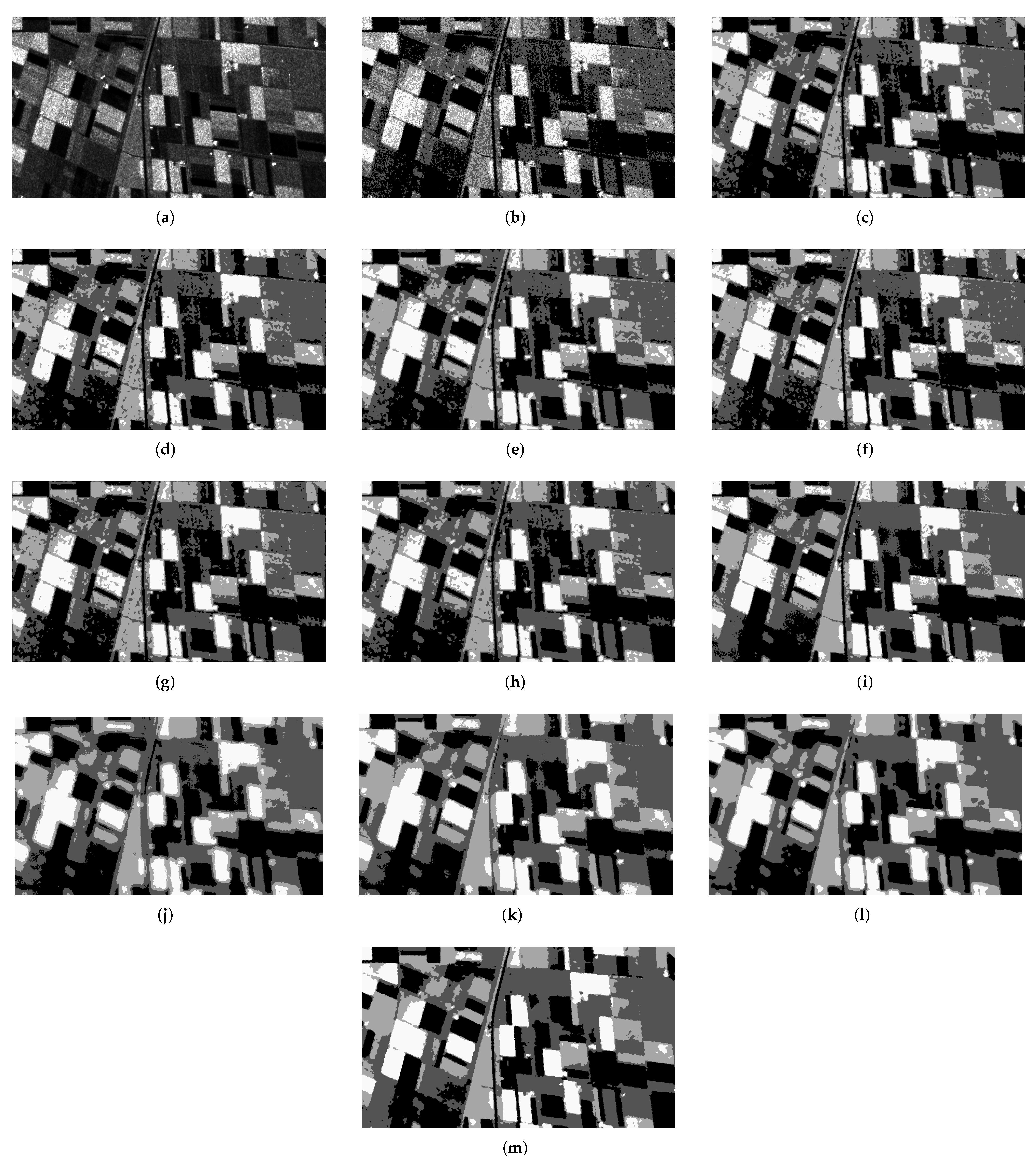 Remote Sensing Free Full Text Sar Image Segmentation By Efficient Fuzzy C Means Framework