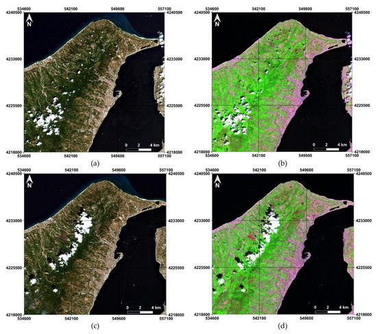 Normalized Burn Ratio Plus (NBR+): A New Index for Sentinel-2 Imagery