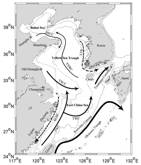 Satellite Observed Spatial and Temporal Variabilities of Particulate ...