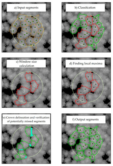 Correcting the Results of CHM-Based Individual Tree Detection ...