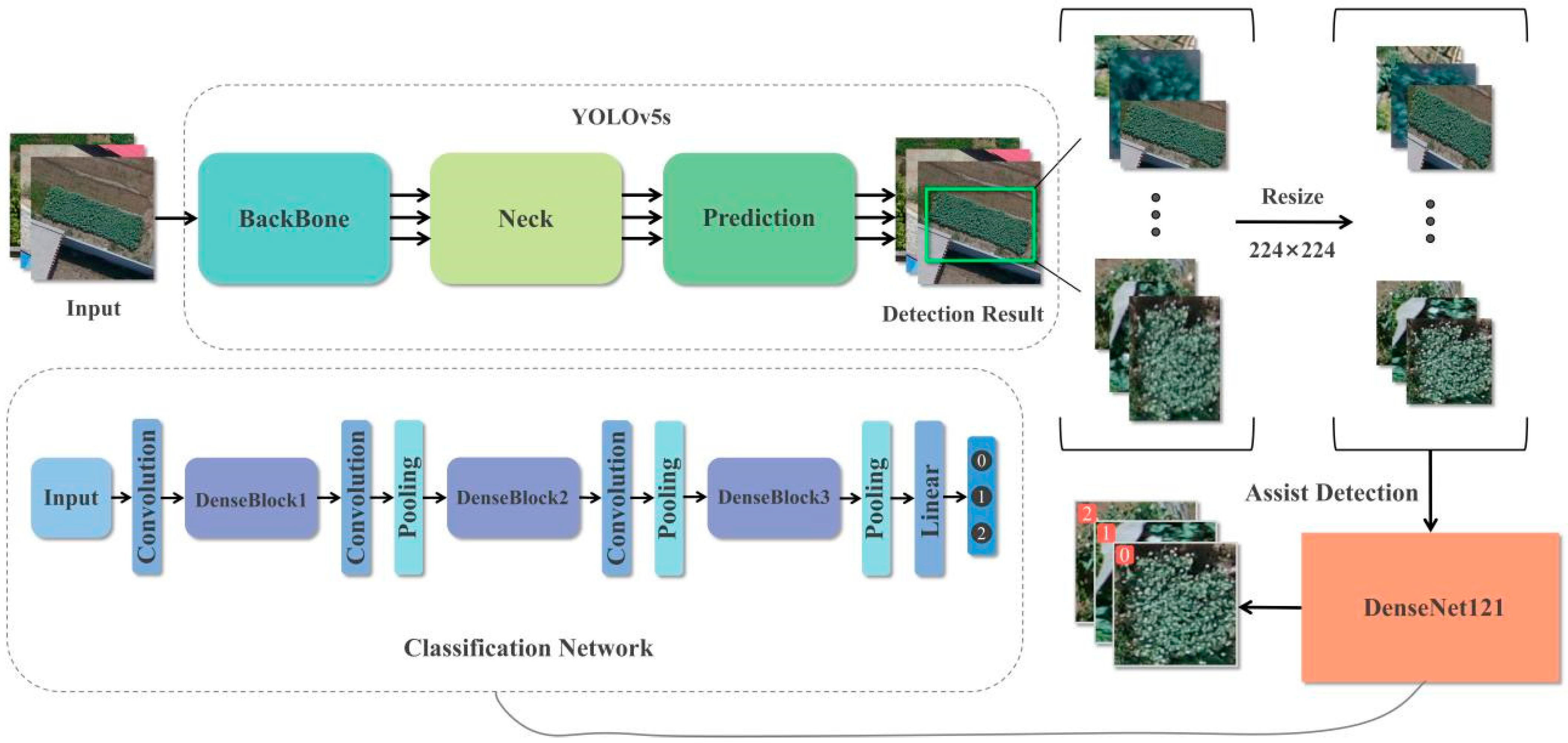 A Two-Stage Low-Altitude Remote Sensing Papaver Somniferum Image Detection System Based on ...