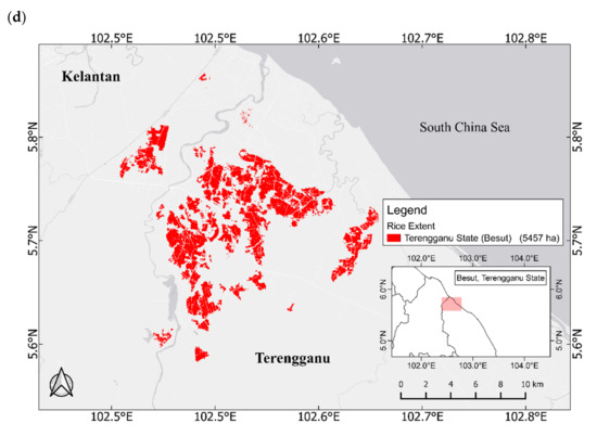 High-Resolution Mapping of Paddy Rice Extent and Growth Stages across ...