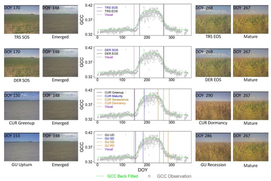 Near-Surface and High-Resolution Satellite Time Series for Detecting ...