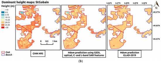 Improving Heterogeneous Forest Height Maps by Integrating GEDI-Based ...