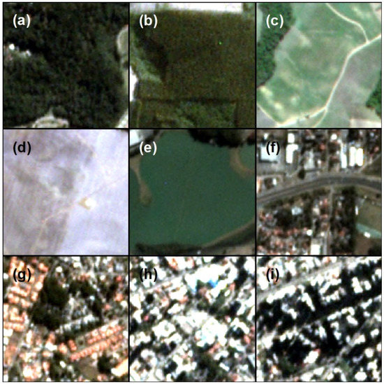 Remote Sensing | Free Full-Text | Identifying Priority Areas for ...