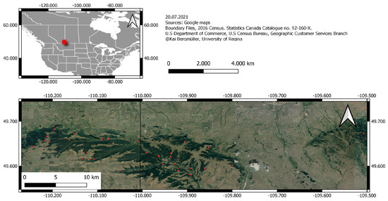Predicting Tree Mortality Using Spectral Indices Derived from ...