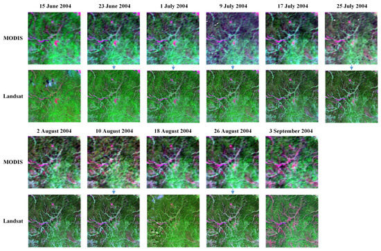 A New Spatial–Temporal Depthwise Separable Convolutional Fusion Network ...