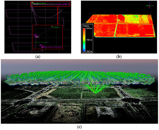 Individual Maize Location and Height Estimation in Field from UAV-Borne LiDAR and RGB Images