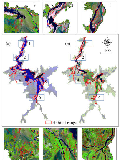 Identifying High Stranding Risk Areas of the Yangtze Finless Porpoise ...
