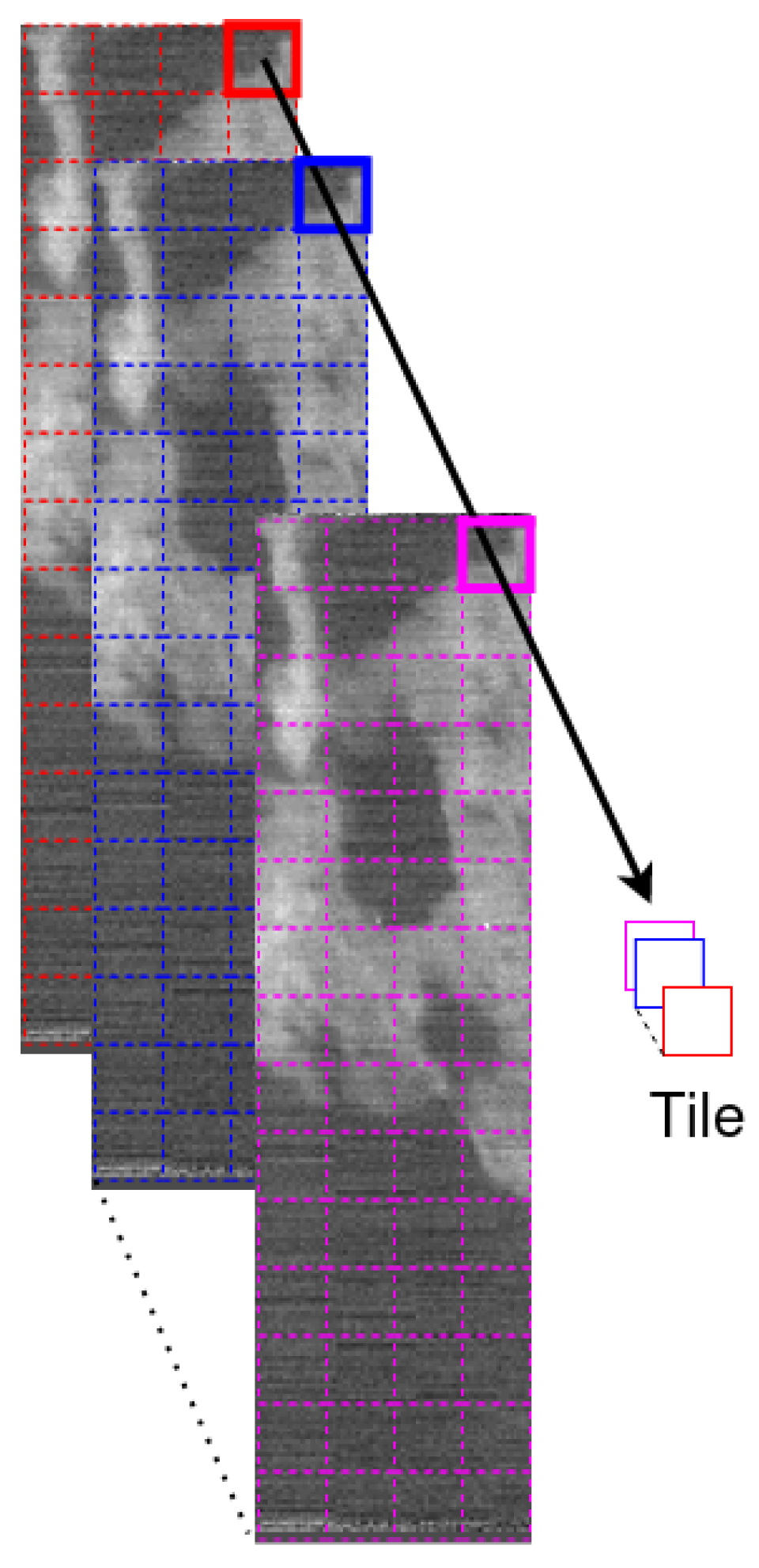 Hyperspectral Data Compression Using Fully Convolutional Autoencoder