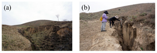 Choosing the Right Horizontal Resolution for Gully Erosion ...