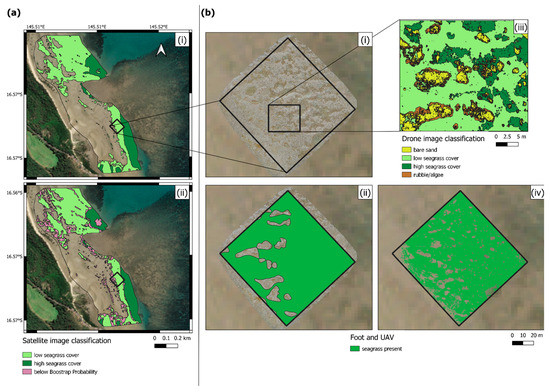 Improving Approaches to Mapping Seagrass within the Great Barrier Reef ...
