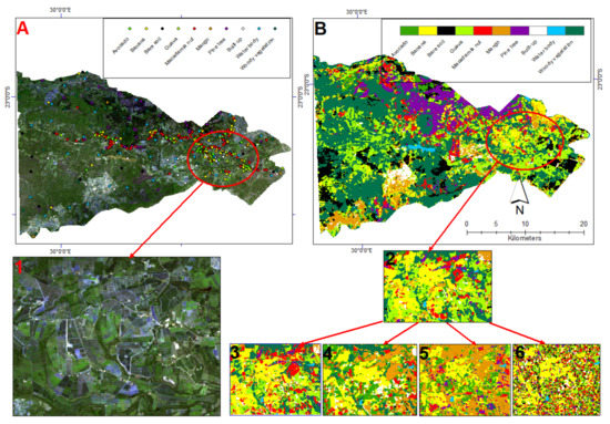 Machine Learning Classification of Fused Sentinel-1 and Sentinel-2 Image Data towards Mapping ...