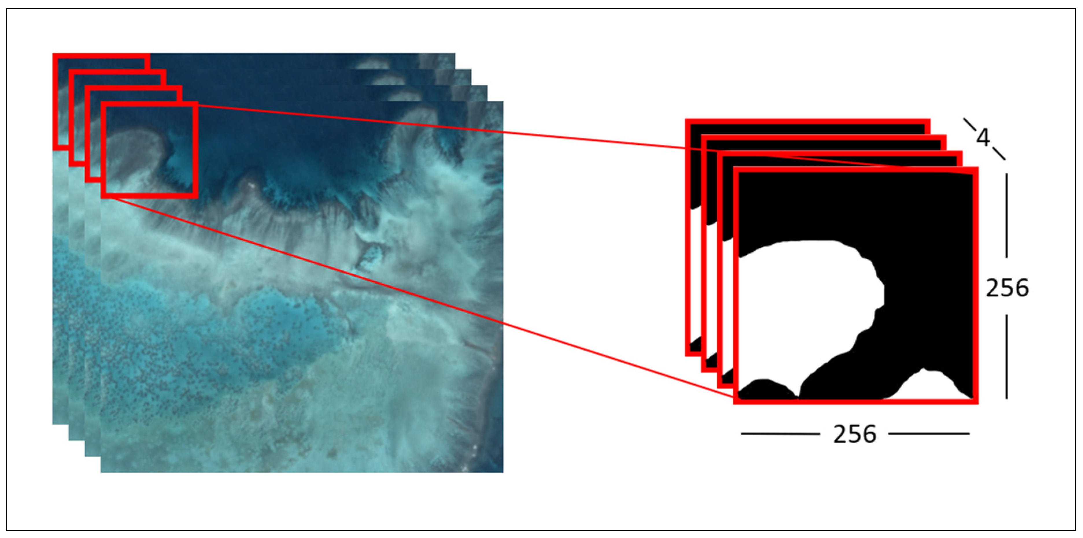Machine-Learning for Mapping and Monitoring Shallow Coral Reef Habitats