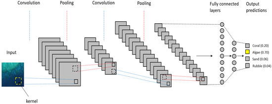 Machine-Learning for Mapping and Monitoring Shallow Coral Reef Habitats