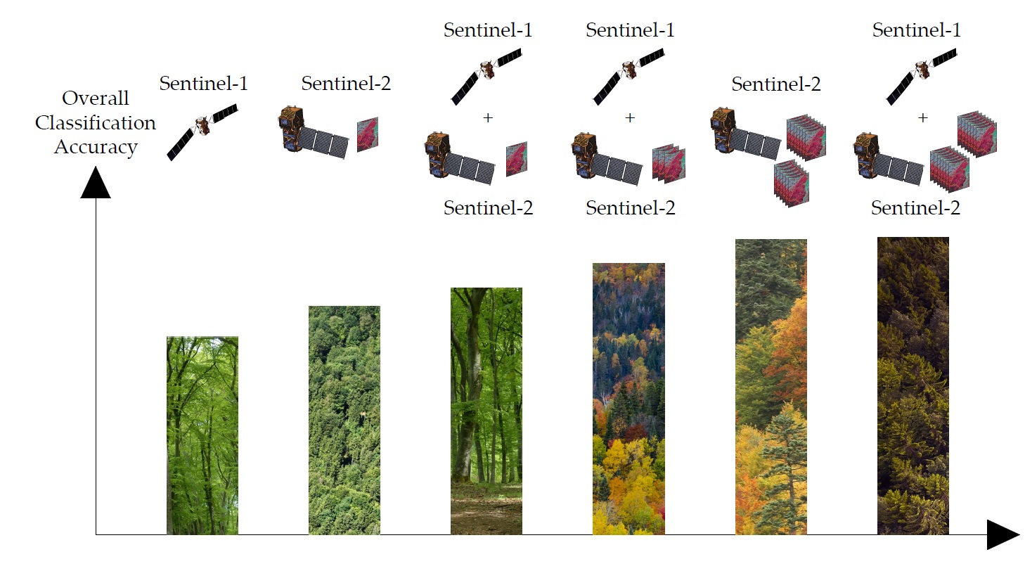 Remote Sensing Free Full Text Combination Of Sentinel 1 And Sentinel 2 Data For Tree Species