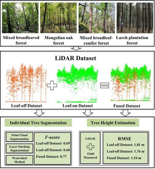Remote Sensing | Free Full-Text | Individual Tree Segmentation and Tree Height Estimation Using ...